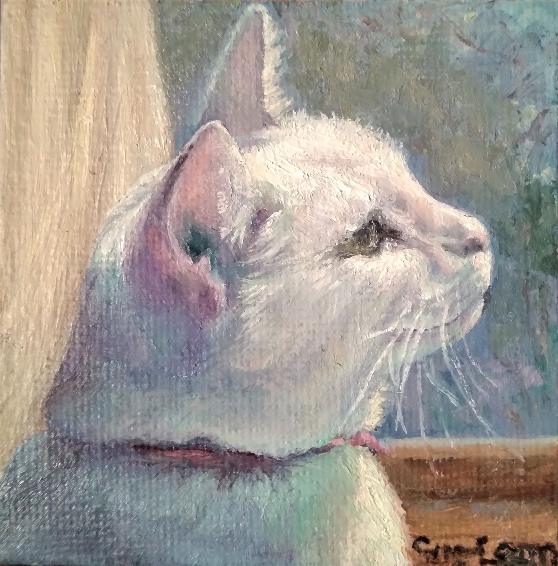 Gallery - Sue Lean